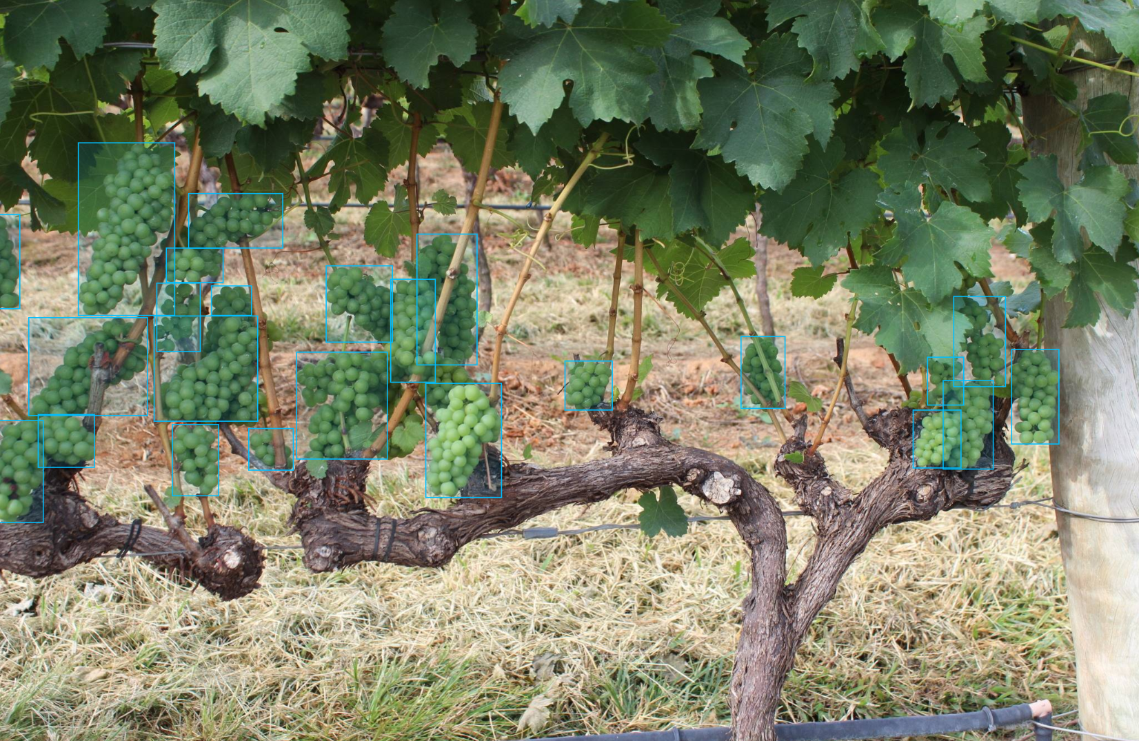 Object Detection model — OpenVINO™ Training Extensions 1.6.1 documentation